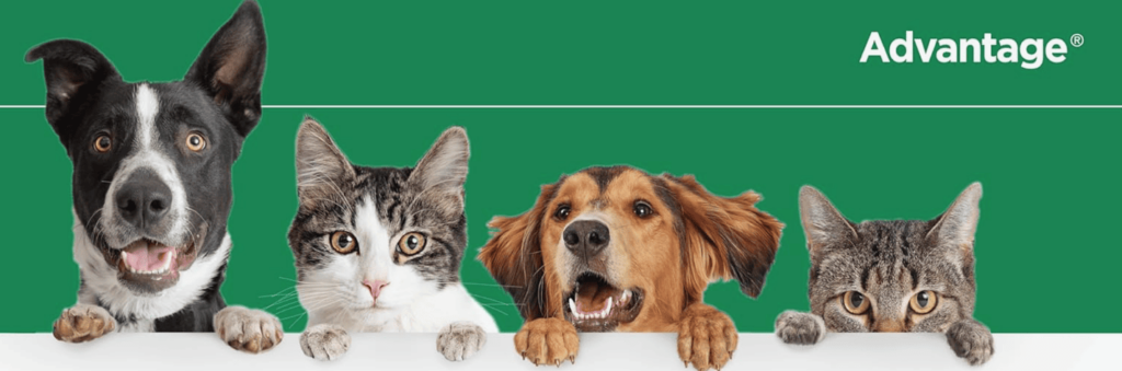Advantage® Flea Treatment - Effective Flea Control for Cats and Dogs